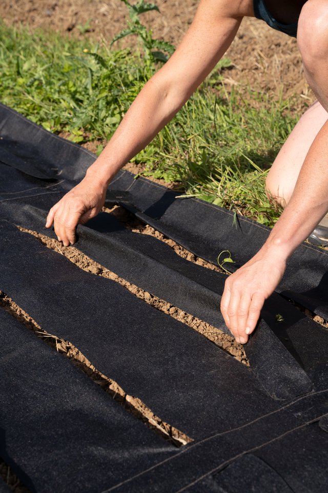 Line - Projects - ECAL