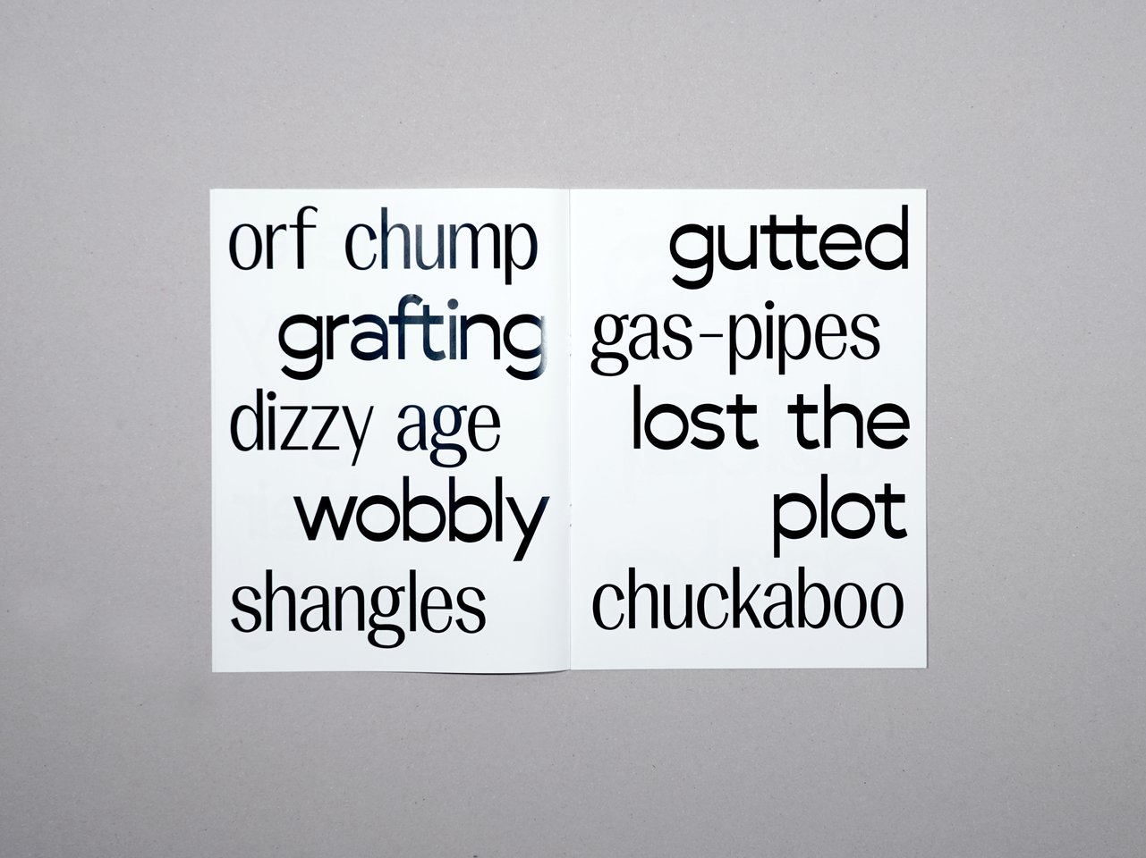 Type specimen - Projets - ECAL