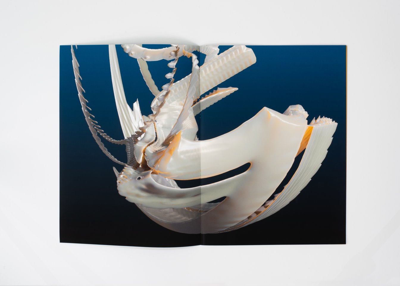 Création d'image - Projets - ECAL