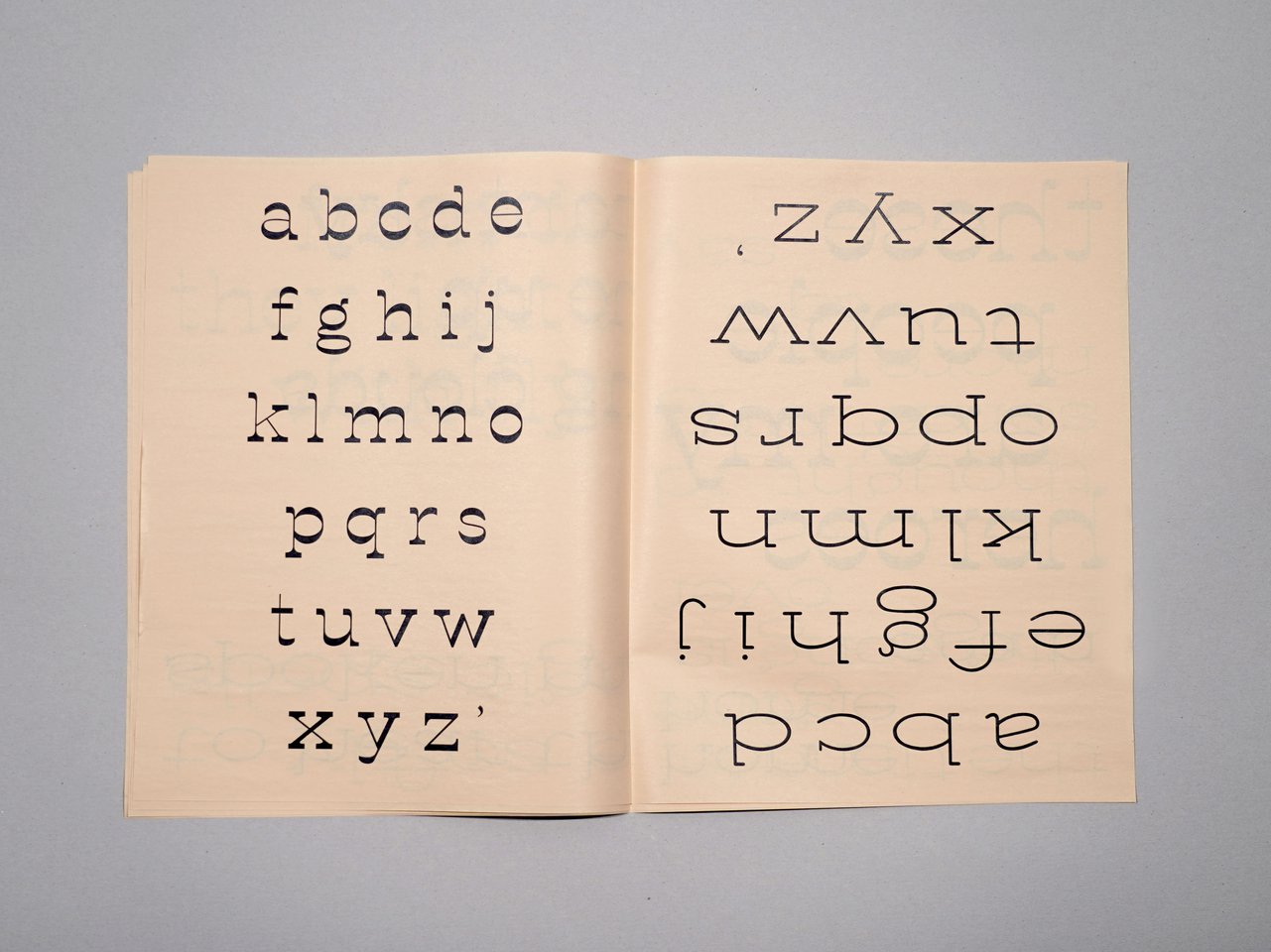 Type specimen - Projets - ECAL