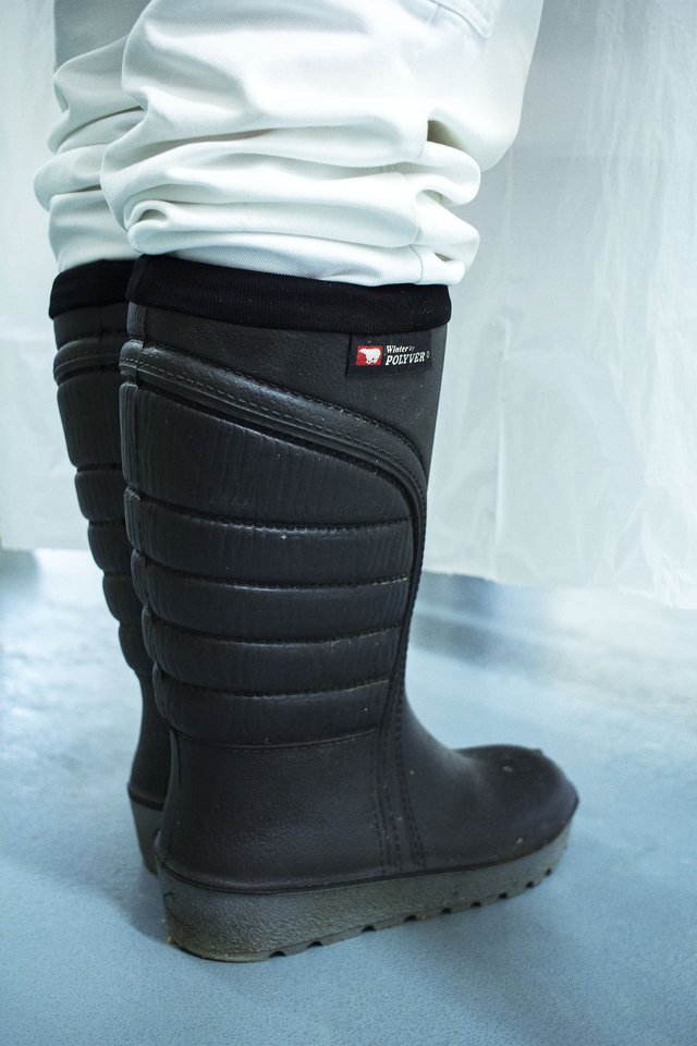 Option photo - Projects - ECAL