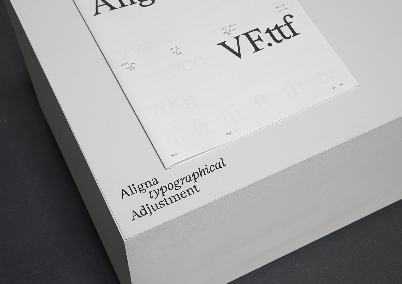 Aligna - Projects - ECAL