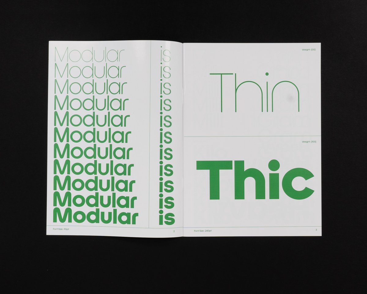 Type specimen - Projects - ECAL