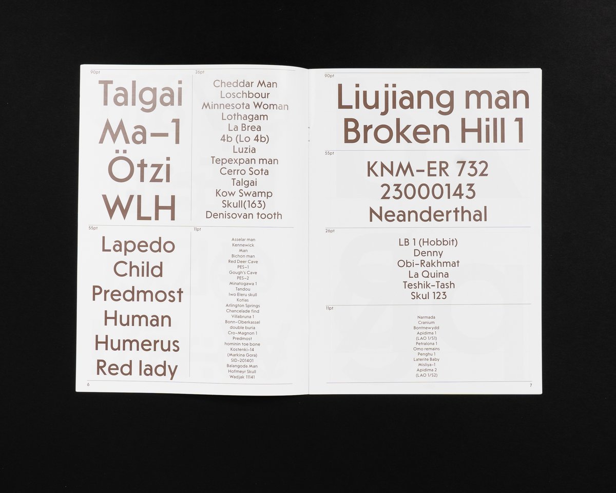 Type specimen - Projects - ECAL