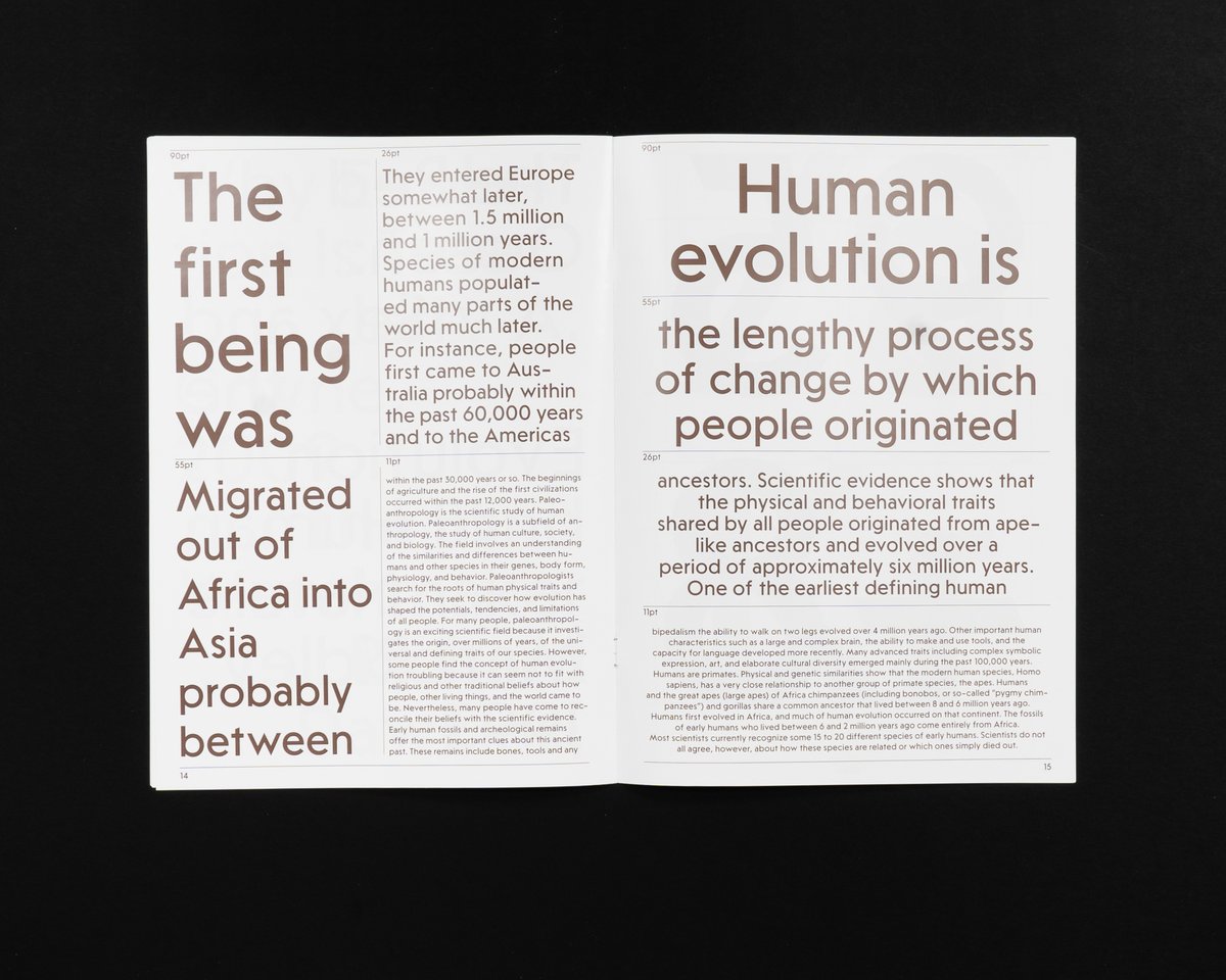 Type specimen - Projects - ECAL