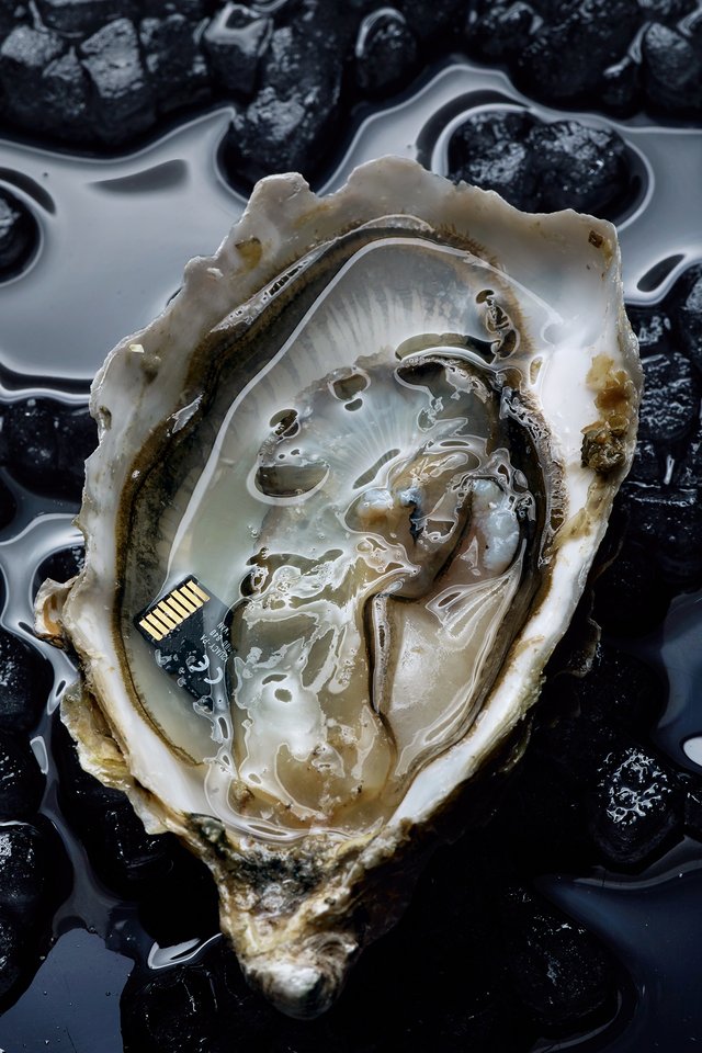 Still Life Photography – 2020 #2 - Projets - ECAL