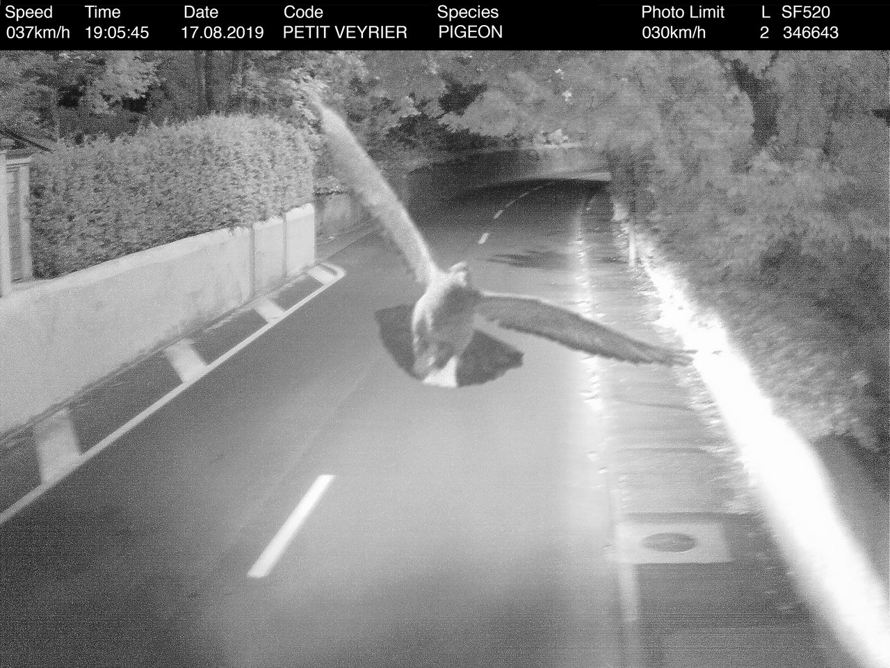 Atelier Photographique - Projects - ECAL