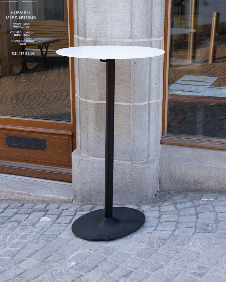 Zénith - Projects - ECAL