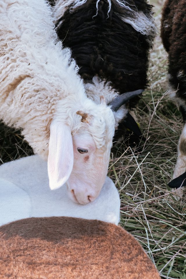 Nuancier - Projets - ECAL