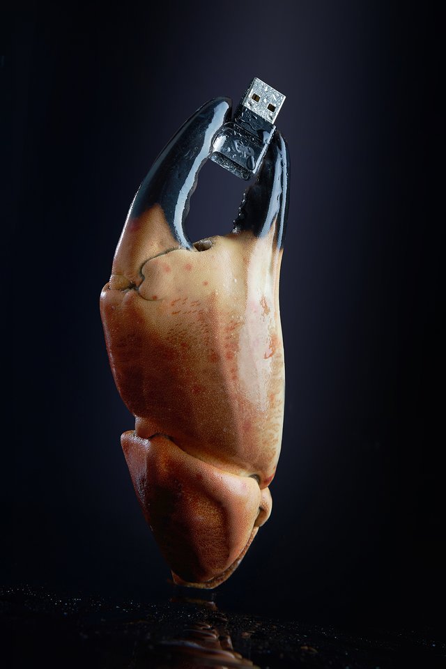 Still Life Photography - Projets - ECAL