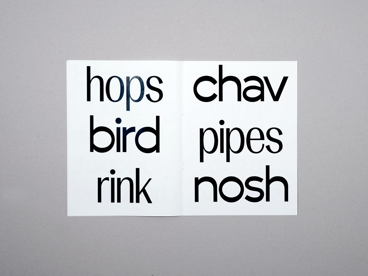 Type specimen - Projets - ECAL