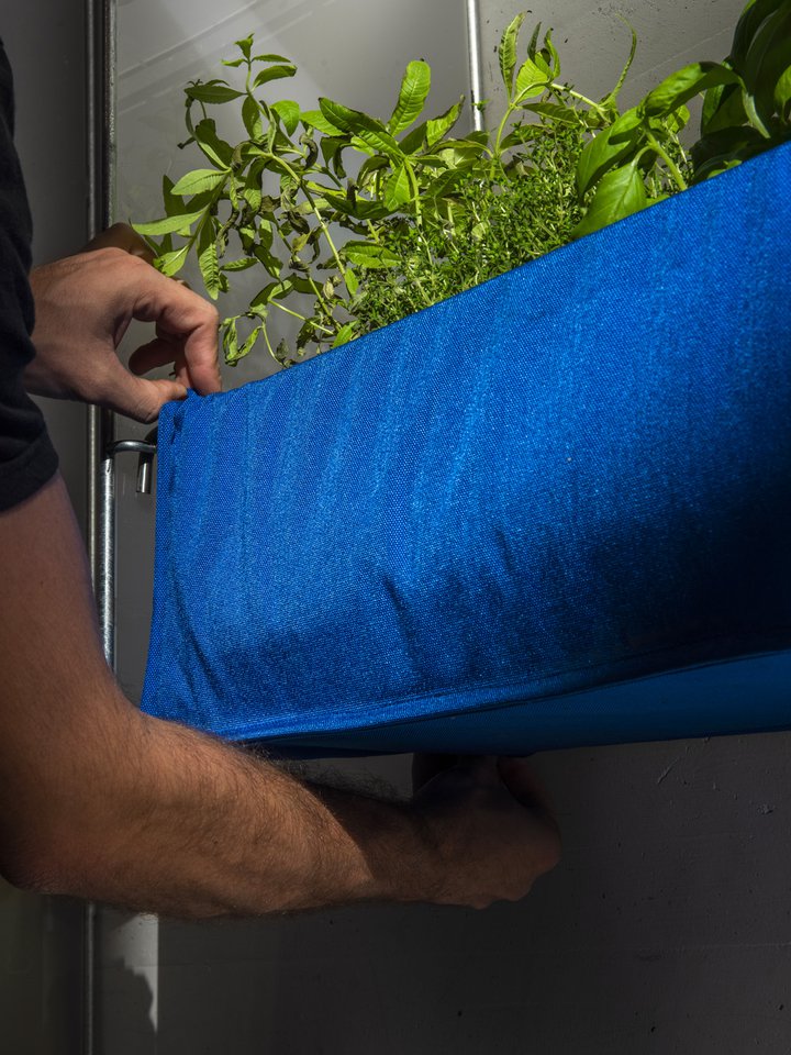 Verdello - Projects - ECAL