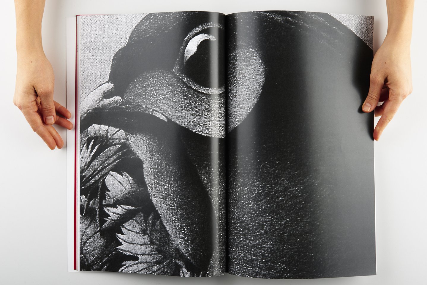 Monument - Projects - ECAL