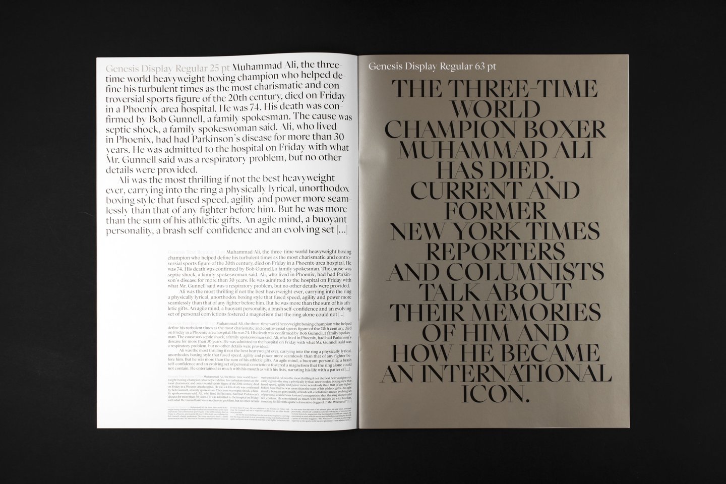 MH Genesis Display&Text - Projects - ECAL