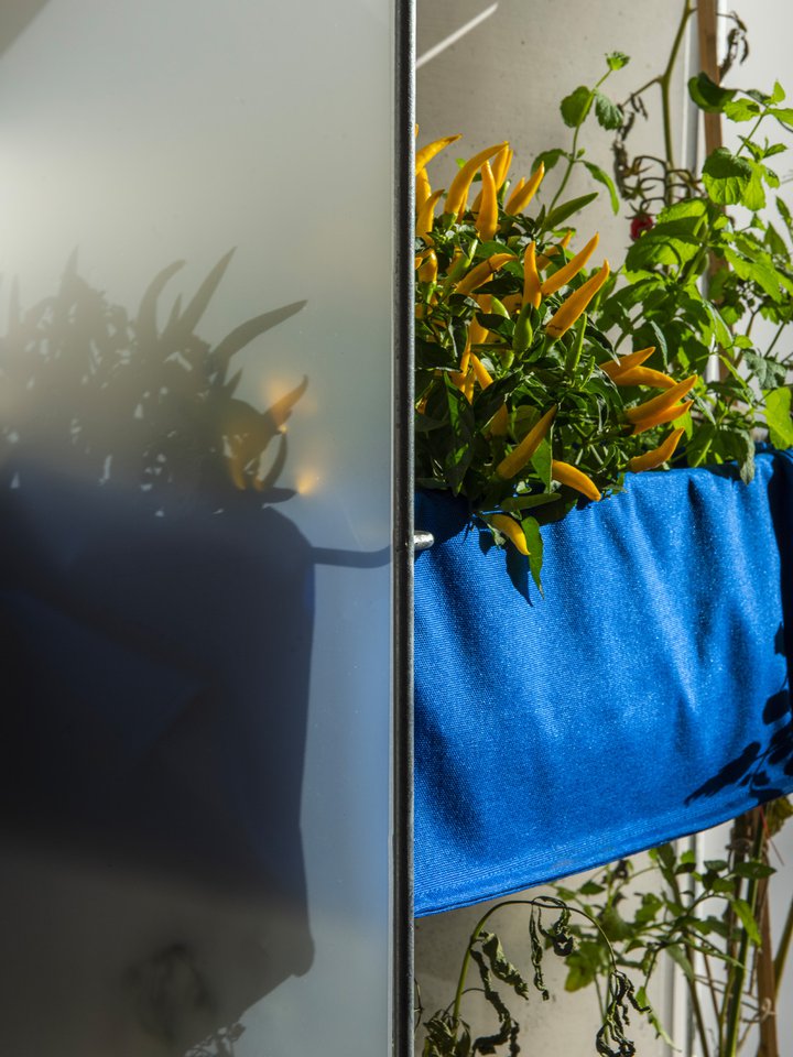 Verdello - Projects - ECAL