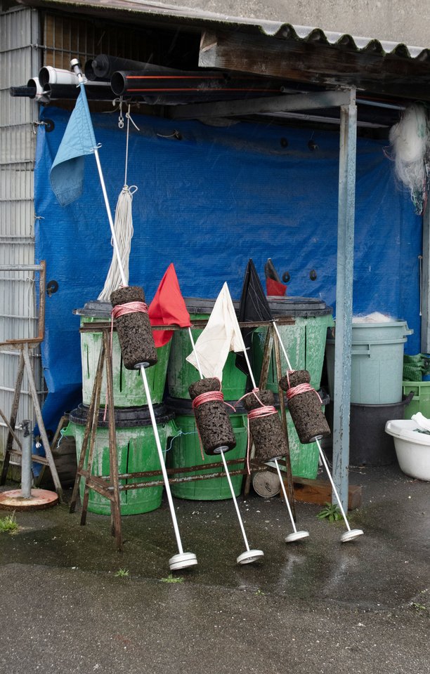 Figure Libre – 2023 - Projets - ECAL