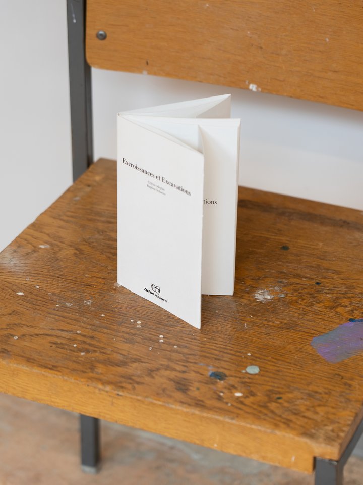 Workshop Emmanuelle Lainé - Projets - ECAL