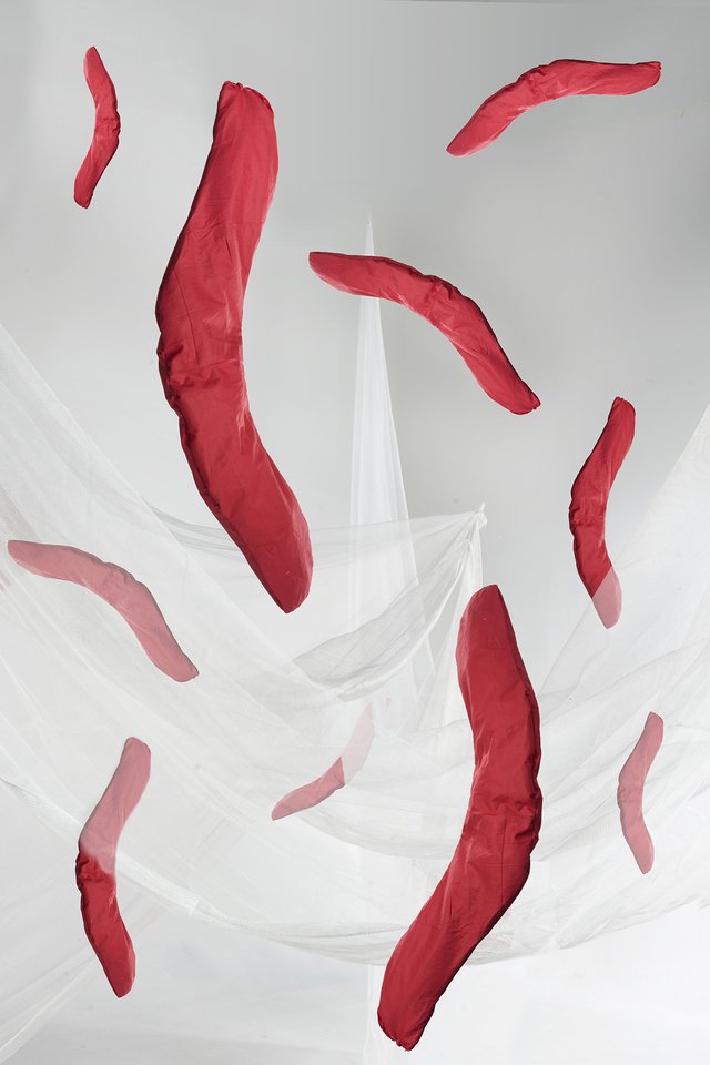 Workshop Peter Knapp - Projects - ECAL